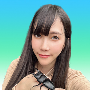 ぱちんこメディアポータル （PMP）│ PAA